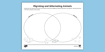 Biology Venn Diagrams | twinkl.com