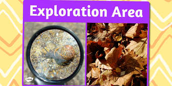 Exploration Area Early Years (EYFS), Signs, Zones, Banner, Poster