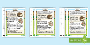 English/Literacy Support Resources - NZ Years 5-6 - Twinkl