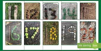 Nature Math Activities | twinkl.co.uk