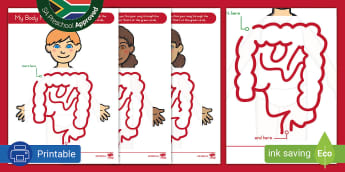 My Body Activities For Grade R - Twinkl South Africa