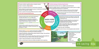 Wildlife Ecologies | twinkl.co.uk