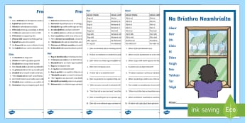 Basic Irish Grammar Rules for Kids Resources | 5th/6th Class