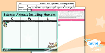 Lesson Plans For Science | Year 2 Animals Including Humans