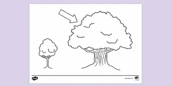 Trees Art Activities | twinkl.co.uk