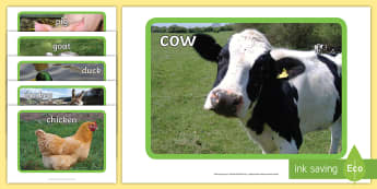 On the Farm - Worksheets and Farm Resources | KS1 - Twinkl