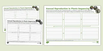 Asexual Reproduction Resources | twinkl.co.uk