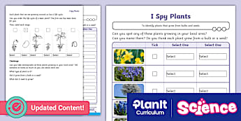 Plants - Year 2 Science Resources - Twinkl