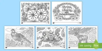 Coloring Sheets Mindfulness • Twinkl.com