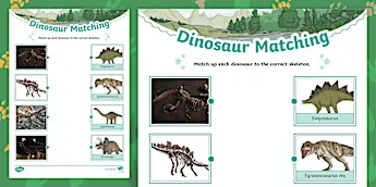 Fossils Activities | twinkl.co.uk