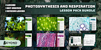 Photosynthesis and Respiration | KS3 Biology | Beyond