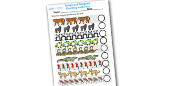 Jungle and Rainforest Activities KS1 | Primary Resources