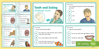Activities and Worksheets | Teeth | KS2 Science