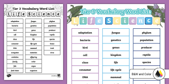Tier 3 Vocabulary Lists | twinkl.com