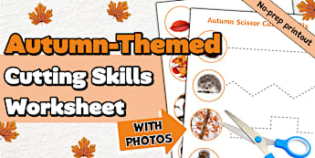 Fine Motor Skills - Cutting and Sticking - Twinkl