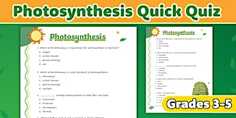 Photosynthesis Lessons | twinkl.com