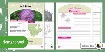 Biology Posters | twinkl.com