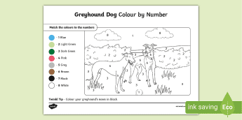 Animals Colour-by-Number Pages | twinkl.co.uk