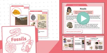Fossils Activities | twinkl.co.uk