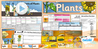 Plants | KS2 Science | Twinkl