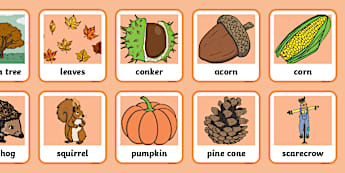 Autumn Weather Activities | Fall Teaching Resources - Twinkl