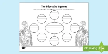 Digestive Systems Biology | twinkl.co.uk