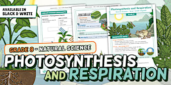 Photosynthesis and Respiration Life and Living - Grade 8