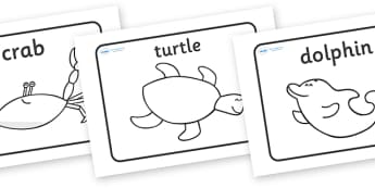 Commotion In The Ocean | Activities and Resources - Twinkl