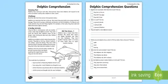 Dolphin Reading Resources | twinkl.co.uk