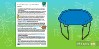 EYFS Minibeasts Teaching Resources - Twinkl