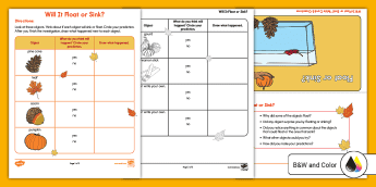 Kindergarten Fall Science Activities | twinkl.com