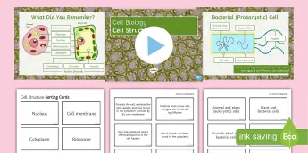 Cell Biology Presentations | twinkl.ca