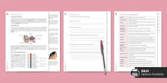 Hearing Resources | twinkl.co.uk