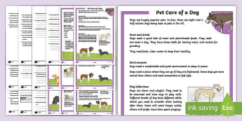 Non-Fiction Reading Comprehension PDFs | KS2 Reading