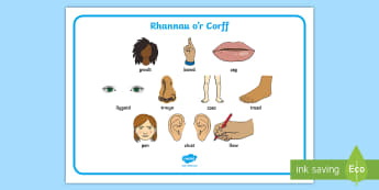 KS1 Primary Resources - Welsh - Twinkl