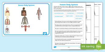 KS2 Science, The Human Body, Activities, My Body, Skeleton, KS2