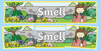 My Senses Display Primary Resources, five senses, smell, sight