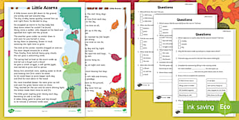 Reading Comprehension Year 2 - English Curriculum Resources