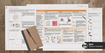 Atoms and the Periodic Table | twinkl.co.uk