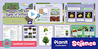 Plants - Year 2 Science Resources - Twinkl