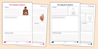 Digestive Systems Biology | twinkl.co.uk