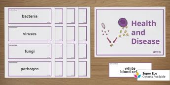 Science Word Walls | twinkl.co.uk