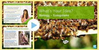 Ecosystems and Interdependence | KS3 Biology | Beyond