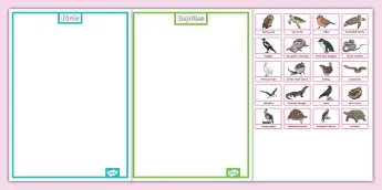 Classification Systems | twinkl.co.uk