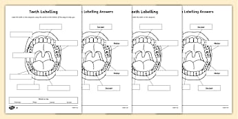 Primary Resources Teeth | KS1 PSHE Resources - Twinkl