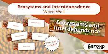 Science Word Walls | twinkl.co.uk
