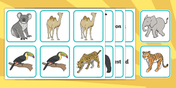 Zoo Animals Games | twinkl.com.au