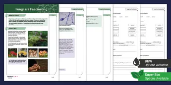 Fungi Science Activities | twinkl.co.uk
