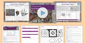 Bird Education Resources | twinkl.com.au