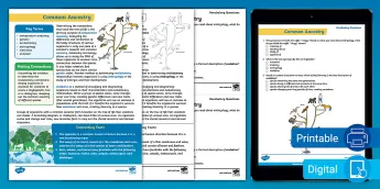 Comparative Anatomies | twinkl.com